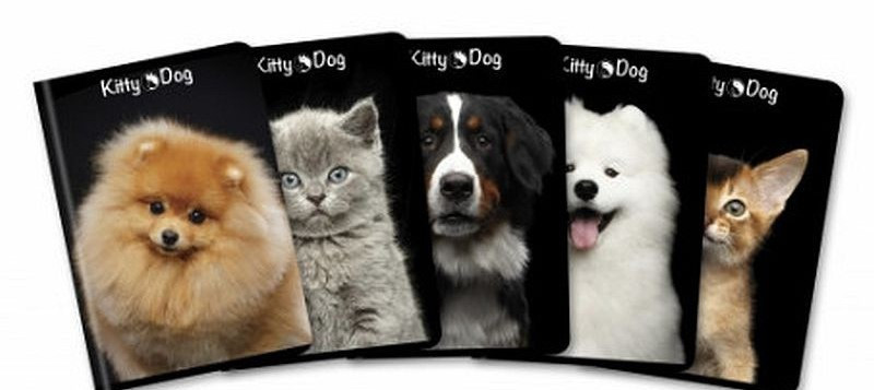 Zeszyty Dla Dzieci ️ Jakie Wybrać Żeby Dzieco Zachęcić Do Nauki